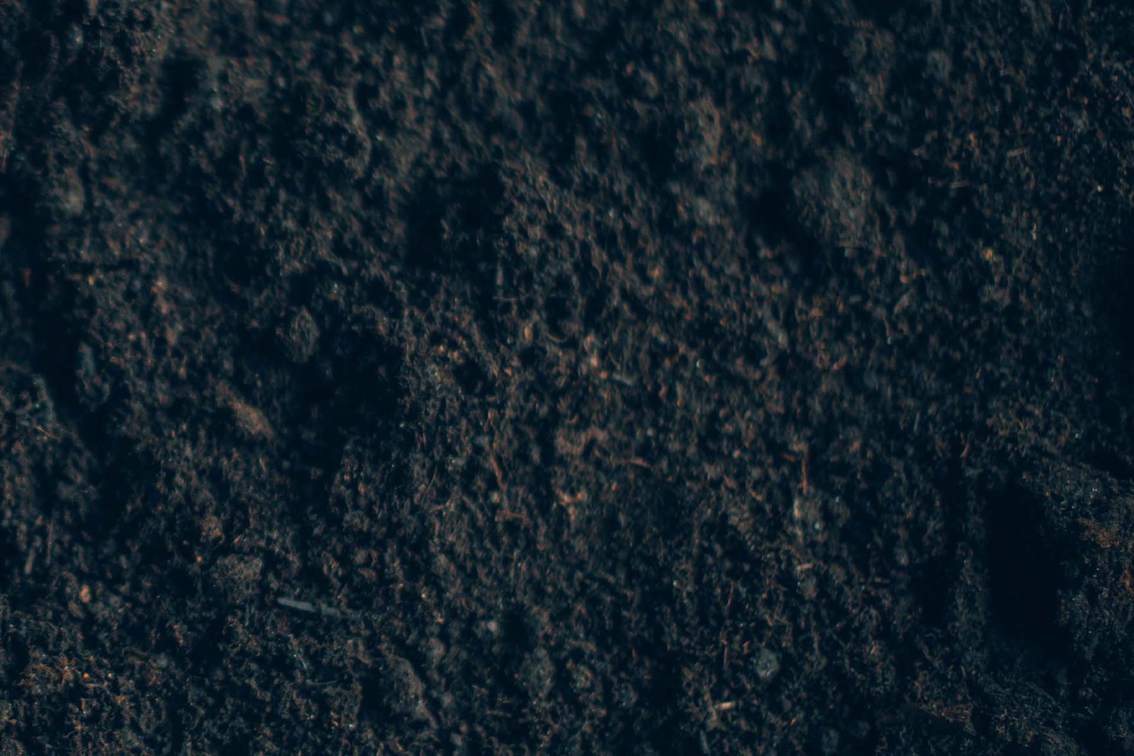 Het aarde-element in yoga: Stabiliteit, Gronding en de Kracht van ...